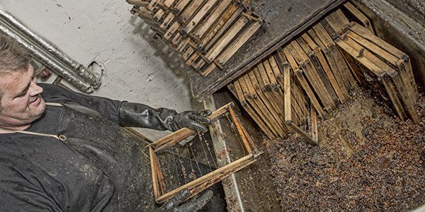 Vokssmelteri - OBC Biavl